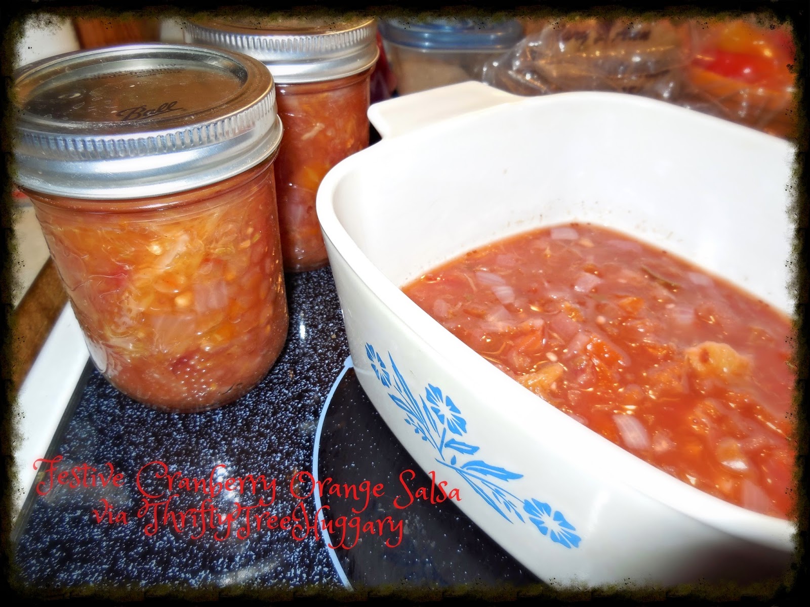 ThriftyTreeHuggary: Festive Cranberry Orange Salsa