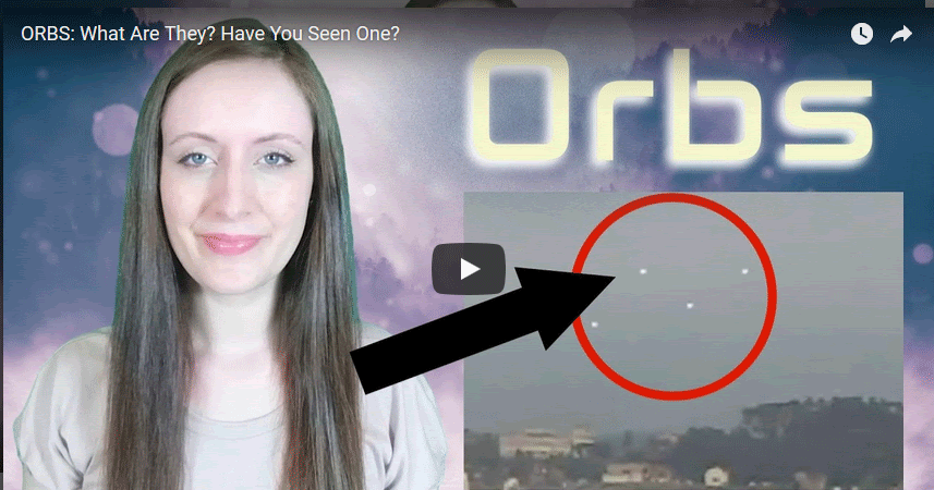 A Maryland Naturalist: Photographing Orbs