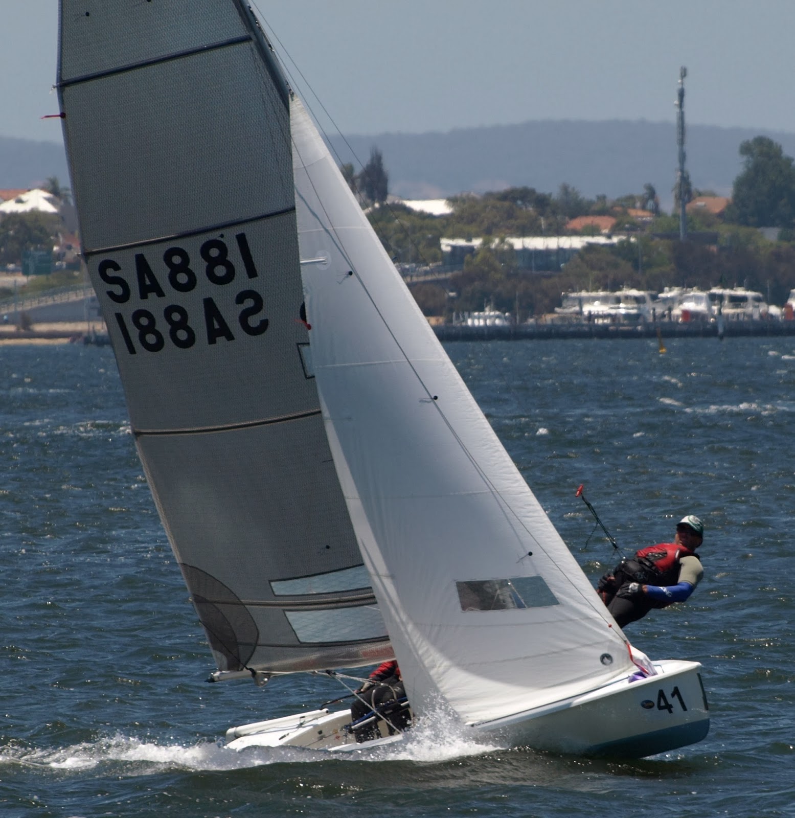 Observations in an undemocratic world: Race 7 - Australian Sharpie ...