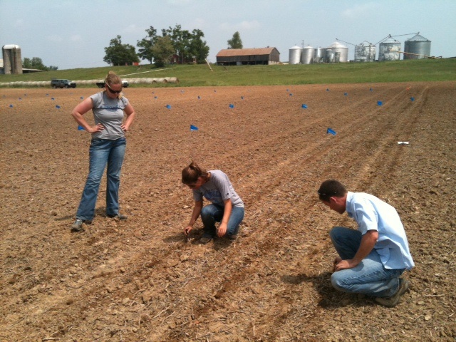 Grain Crops Update: Check Corn Planting Depth