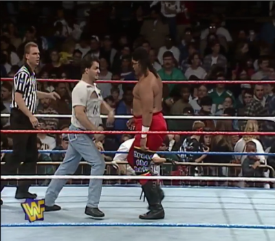 Retro Oasis: A Taste of the New Generation: Boyhood Dreams: WWF Monday ...