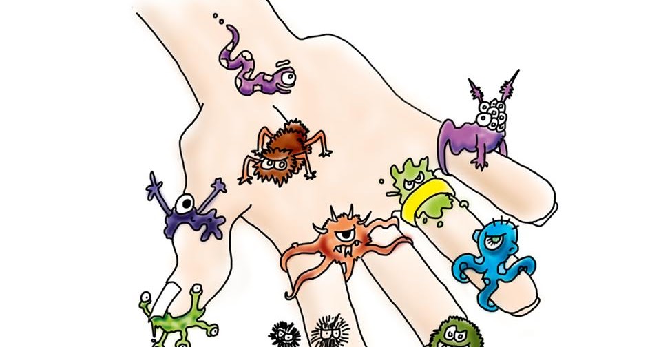 GÉRMENES ¿AMIGOS O ENEMIGOS?: ¿QUÉ HACEN LOS GÉRMENES?