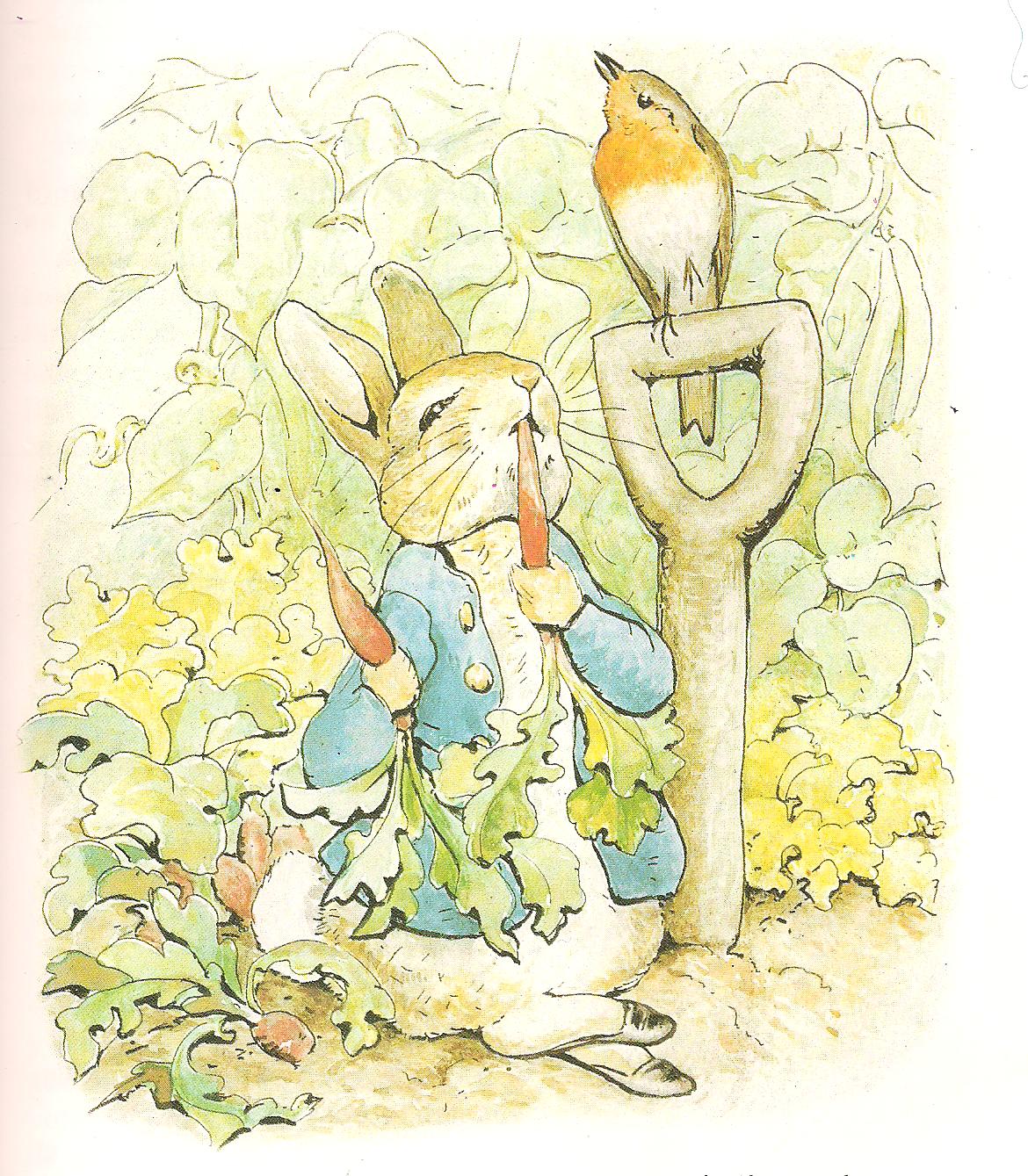 aula multiusos: Beatrix Potter