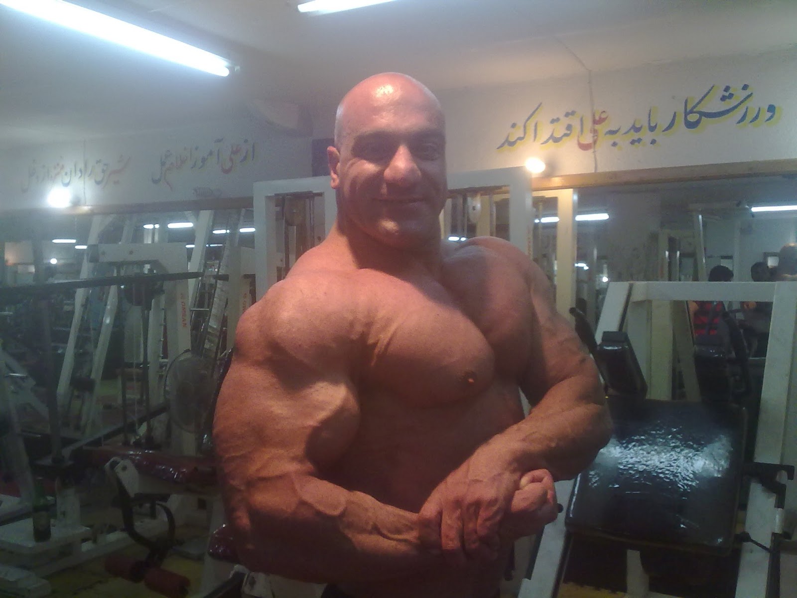 Muscle Lover: Muscle Kings of Persia (2)