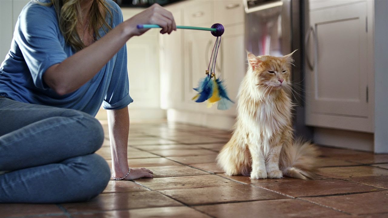 Be More Dog!: O2 - Be More Dog (IMC Campaign)