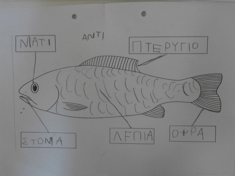 15ο ΝΗΠΙΑΓΩΓΕΙΟ ΚΟΡΥΔΑΛΛΟΥ: Ο ΒΥΘΟΣ ΤΗΣ ΘΑΛΑΣΣΑΣ