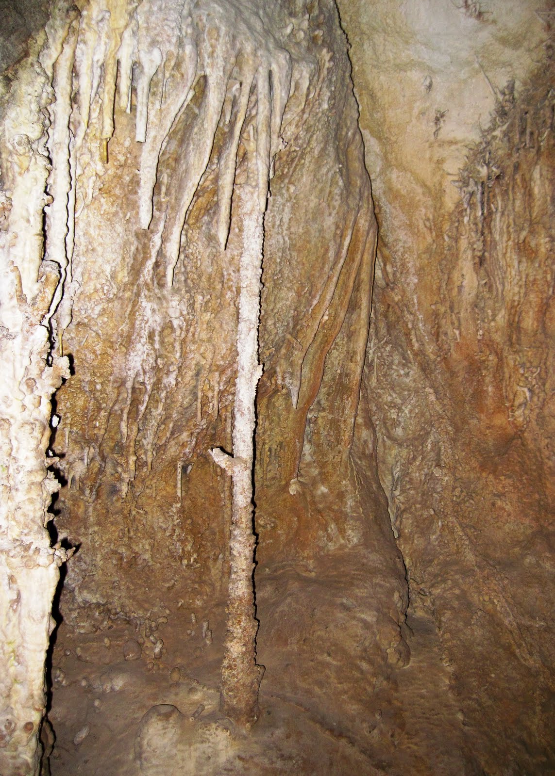 Along The Side Roads: Great Basin National Park in Ely, Nevada