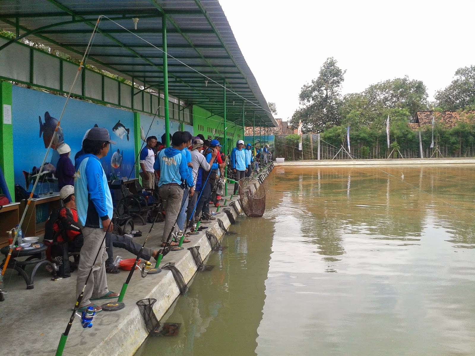 mancing bareng di pemancingan saung desa ~ cikarang fishing club