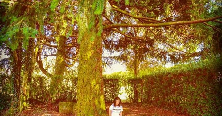 Lectores Unidos: ¿Quienes somos?