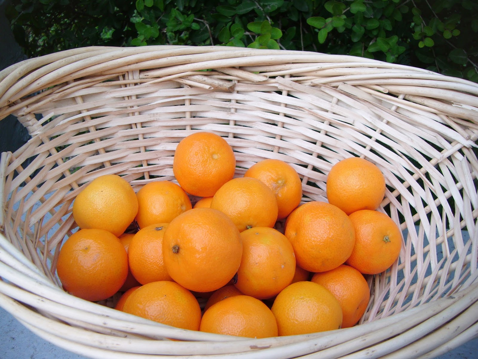 The ABCD Diaries: Start the New Year Off with a Naturally Sweet Citrus ...