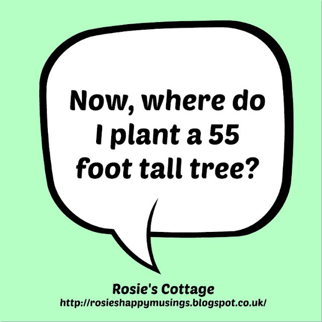 Rosie's Cottage: Friday Smiles: Now, Where Am I Going To Plant A 55 ...