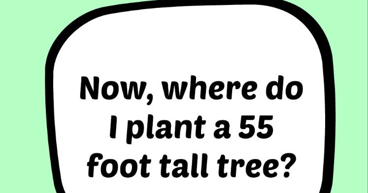 Rosie's Cottage: Friday Smiles: Now, Where Am I Going To Plant A 55 ...