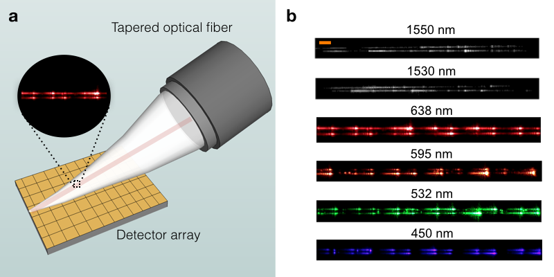 2Physics: High-Resolution Optical Spectroscopy Using Multimode ...