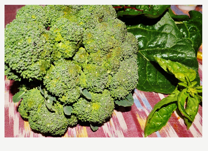 from my vegie patch to plate..