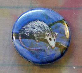 Opossum Pin