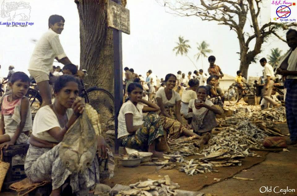 Lanka Pictures Page: Old Ceylon 1