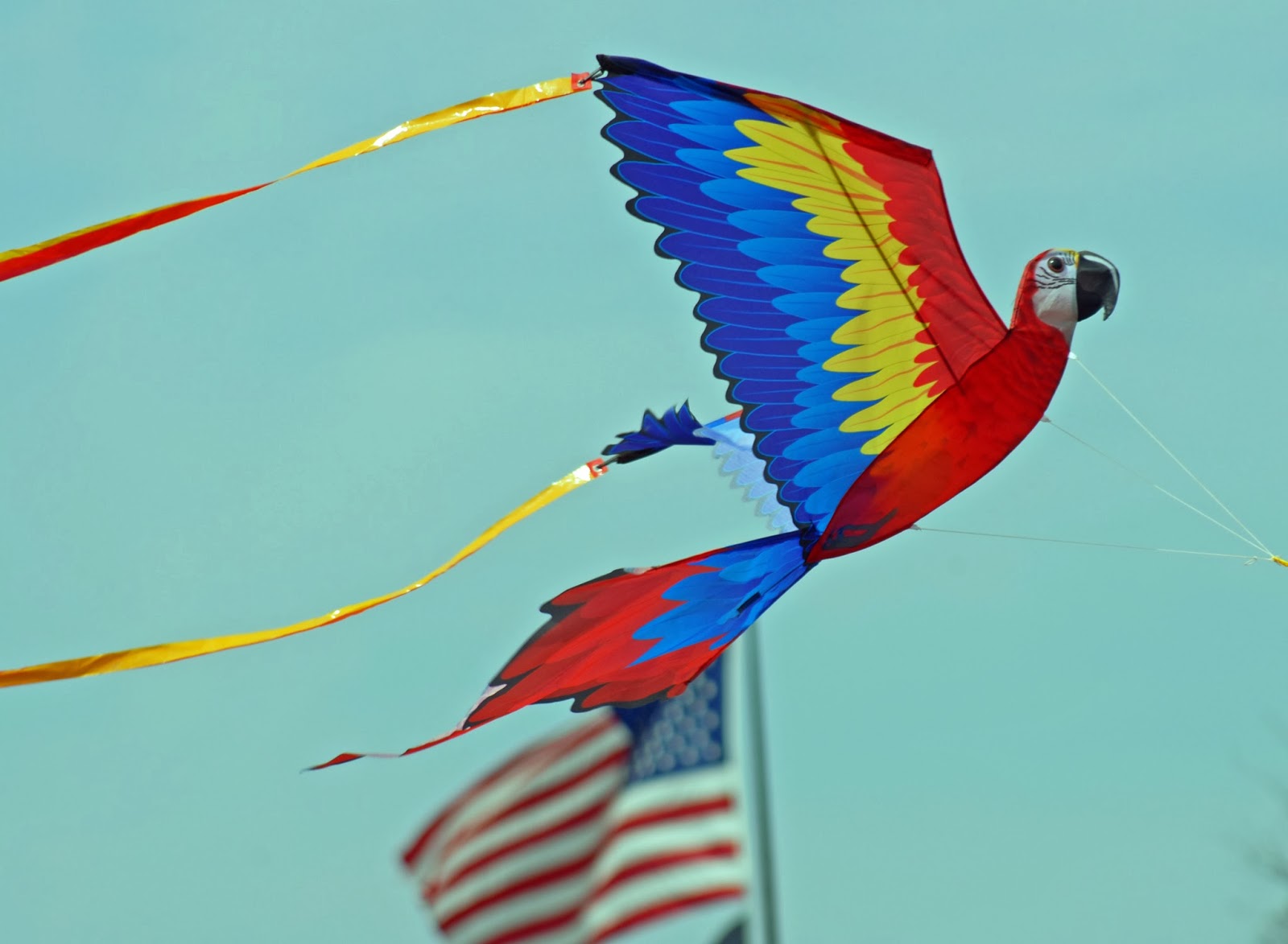 Awakenings: Let's Go fly a kite!