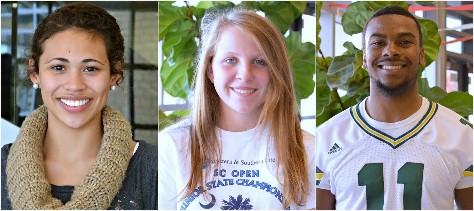 Viking Update: 2013 North-South All Star Athletes