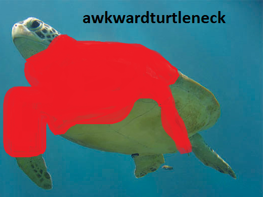 Awkward Turtle Neck