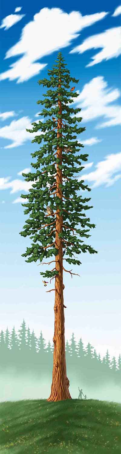 The Tallest Illustrations | LIFE NEEDS ART