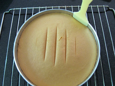 Nasi Lemak Lover: Pure Vanilla Sponge Cake 香草海绵蛋糕