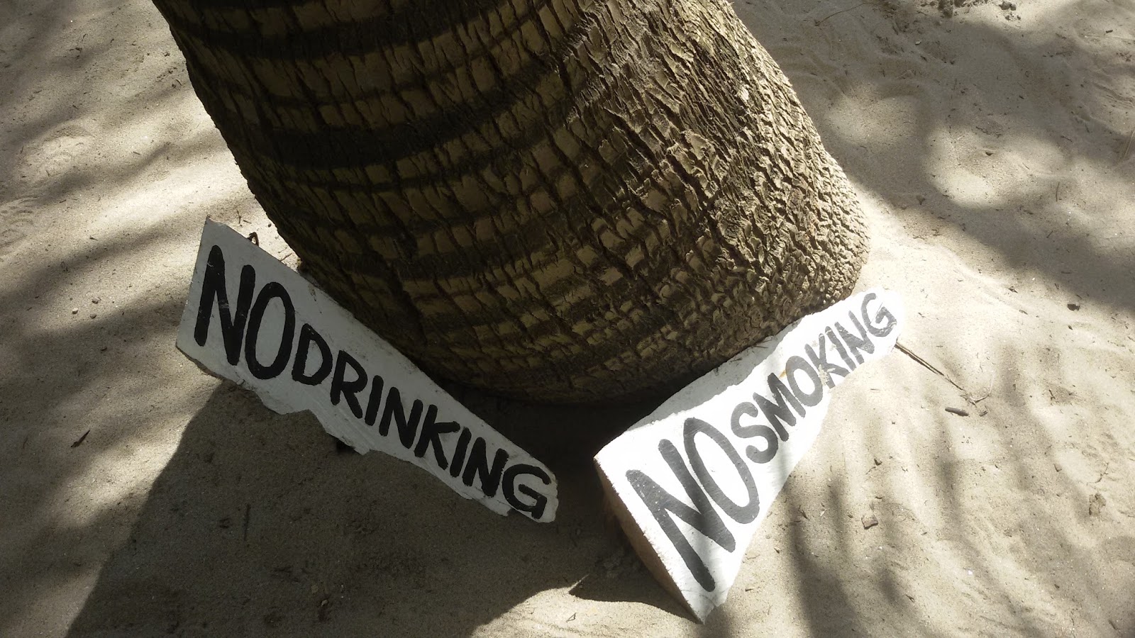 Home Away From Home - Falling In Love With Lola Sayong Eco-Surf Camp ...