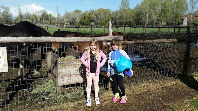 Twelve Makes a Dozen: April 2017