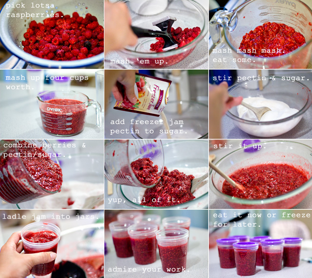 a good life.: freezer jam 101: where i give you directions for ...