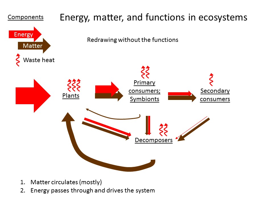 The Dance of the Hippo: I.2: Ecosystems - energy and matter