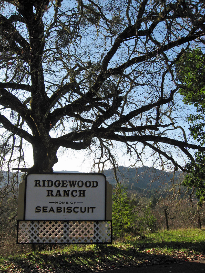 Willits Photo Overflow: Ridgewood Ranch, Home of Seabiscuit