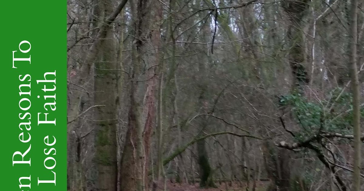 Rosa Rubicondior: Ten Reasons To Lose Faith - Update