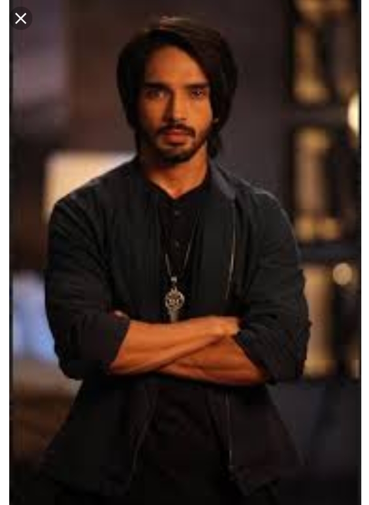 Los Ojos del Espectador: Harsh Rajput sexy actor de la India