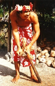 Malae o Letalu: O le Ala i le Tautua o le Pule