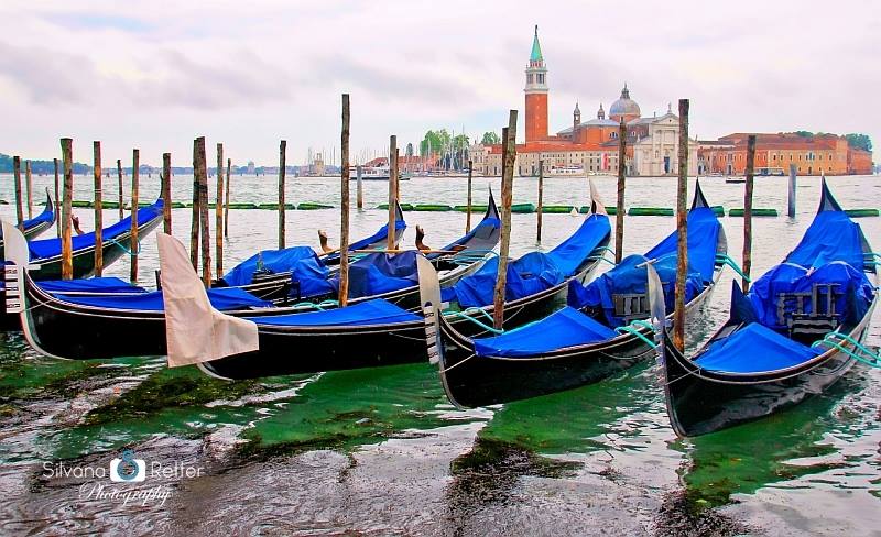 Silvana Retter PHOTOGRAPHY