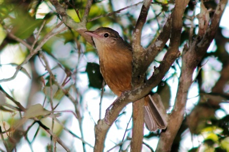 Curiosidades del Mundo: 06/15/12