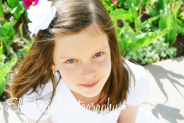 Ellie Bean Photography