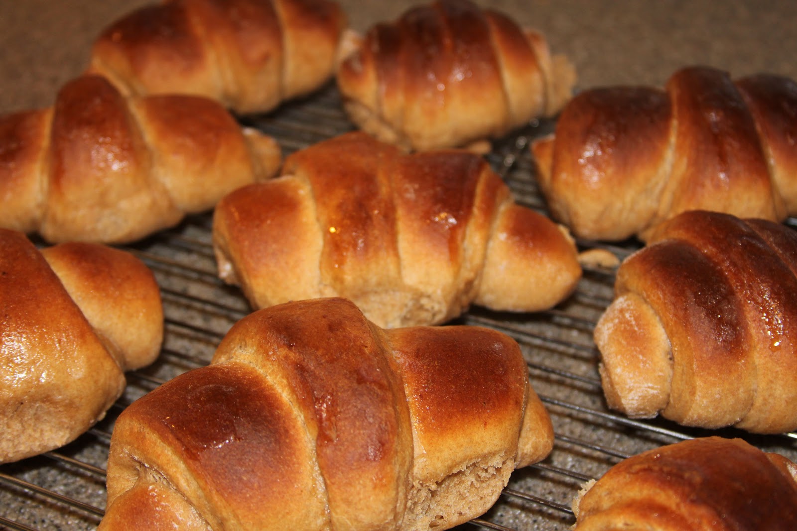 Whole Wheat 12 hour Butterhorn Dinner Rolls - Cooking With Ruthie