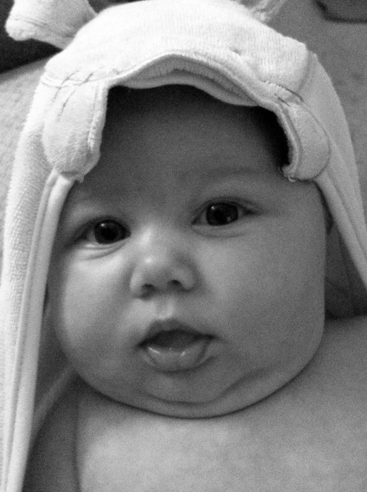 a little shelton: Cute, Squishy, Cottonball Baby