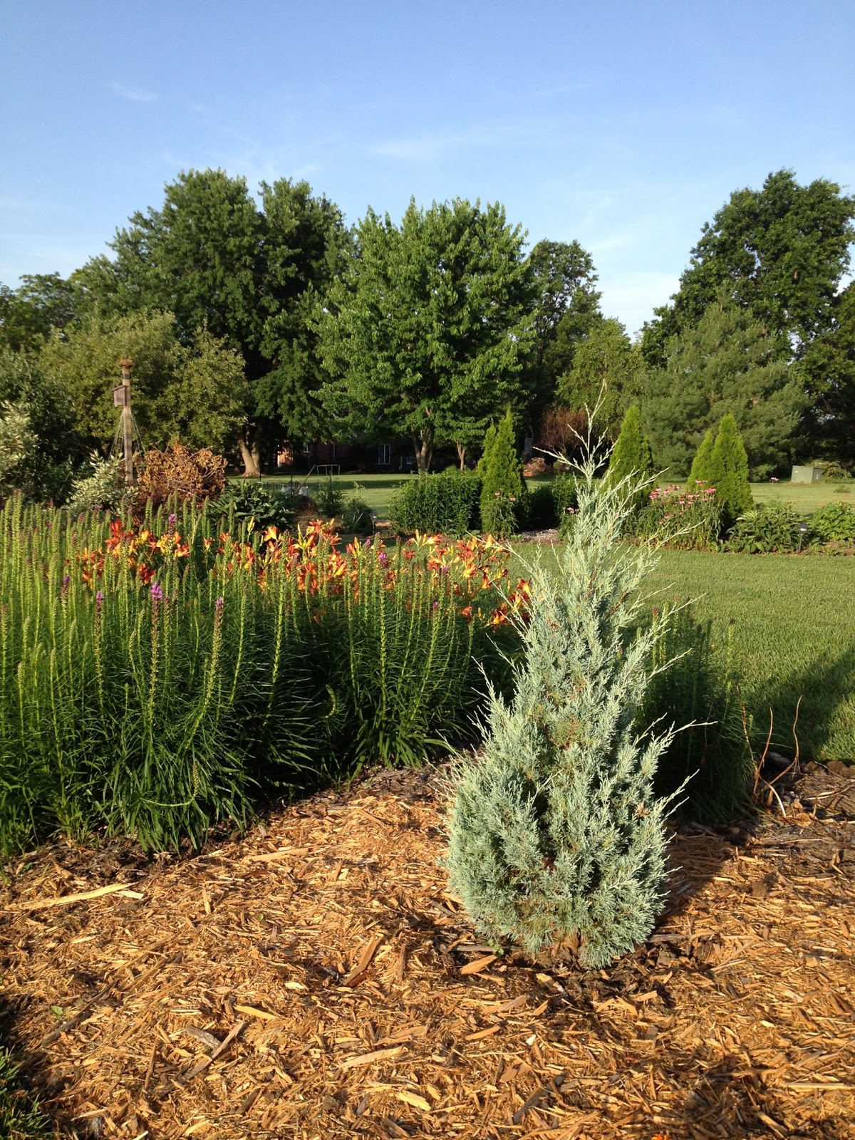 Lindaloo Things To Do!: Garden Tour