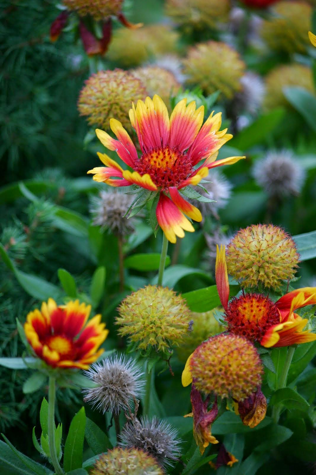 I, too, am here: Appreciating Native American Art