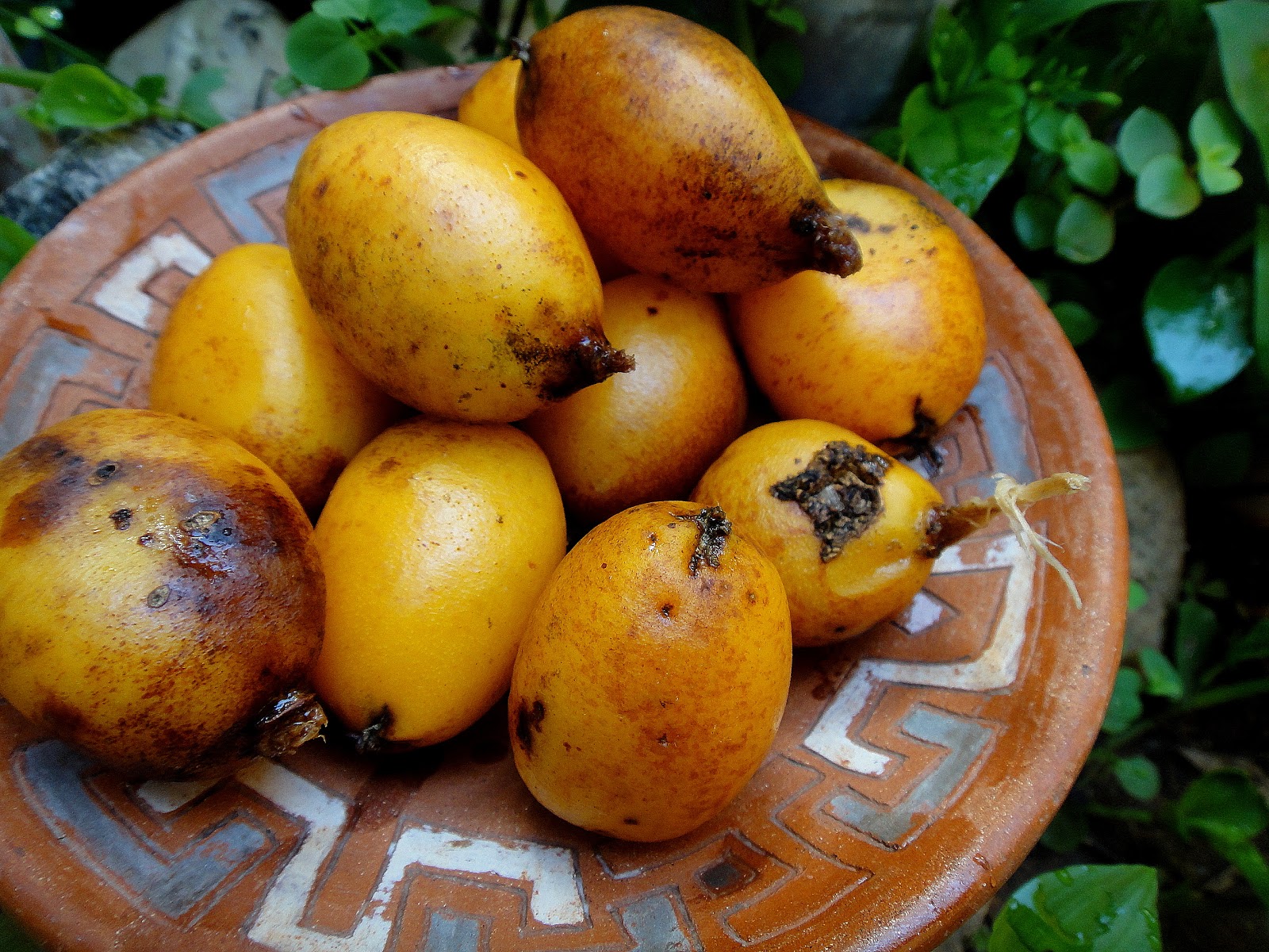 come-se: Presentes de comer. a fuba, a farinha de milho, os feijões ...