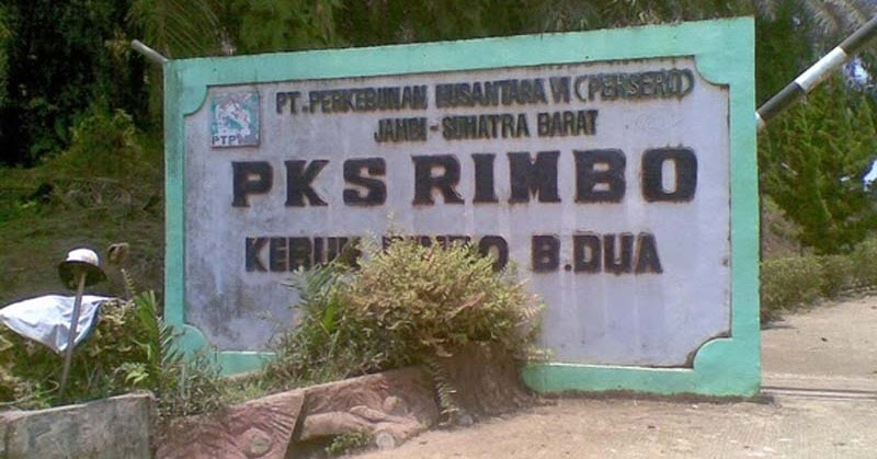 PKS PTPN VI Kembali Jadi Sorotan Terkait Limbah dan Jasa Angkutan