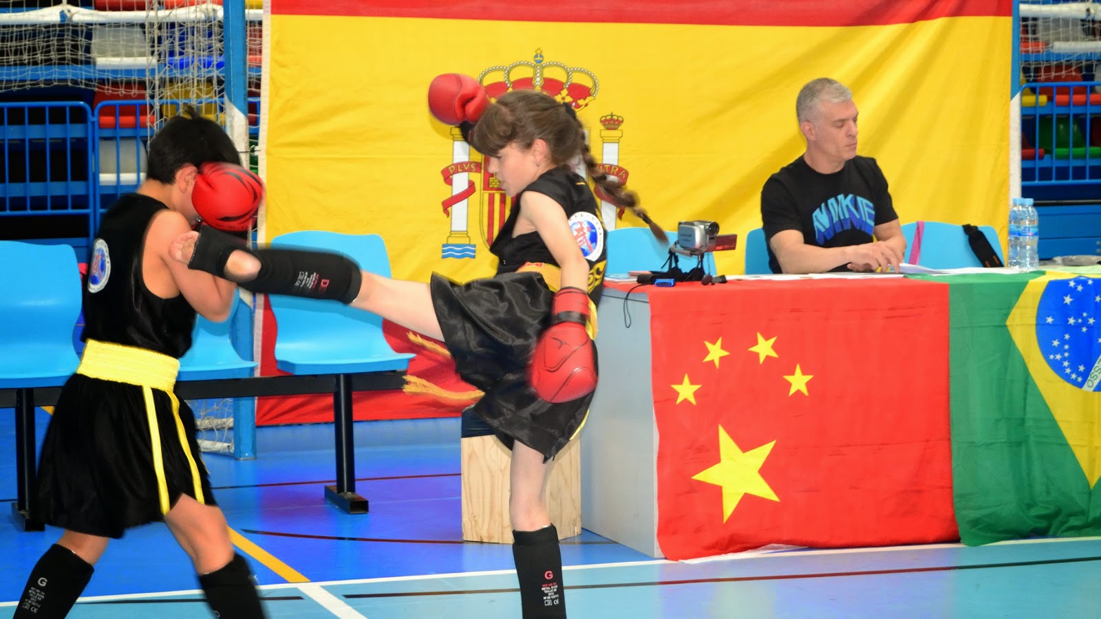 Kung-Fu Shaolin Wudang Tradicional: Sanda, 散打 Chinese Boxing - boxe ...