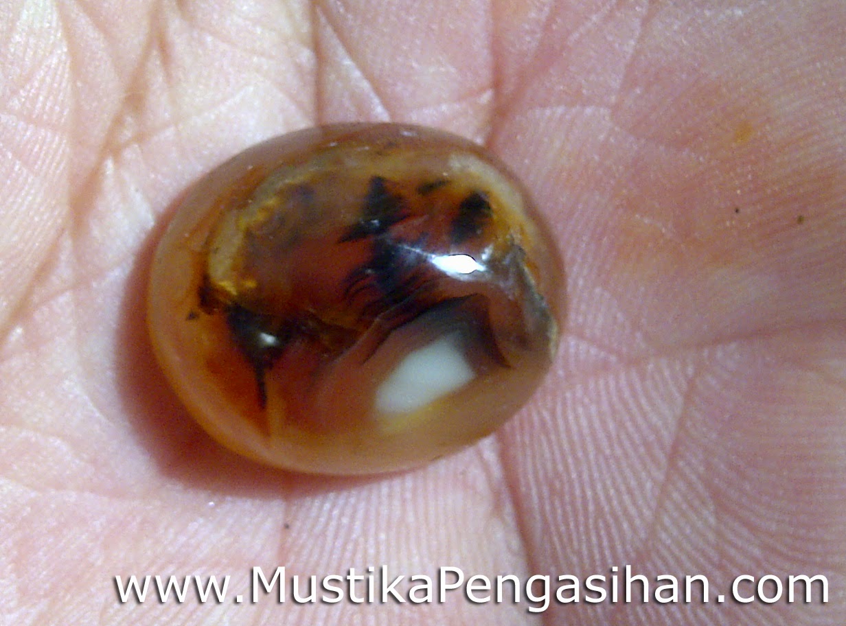 Batu Mustika Bertuah | Jual Batu Mustika Bertuah, Batu Mustika Air, dan ...