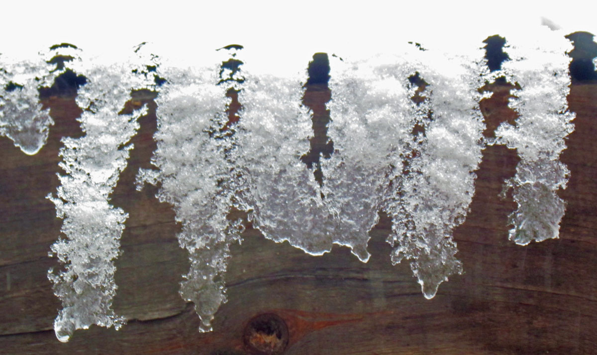 The Agatelady: Adventures and Events: Log Slide to Au Sable Point Hike ...