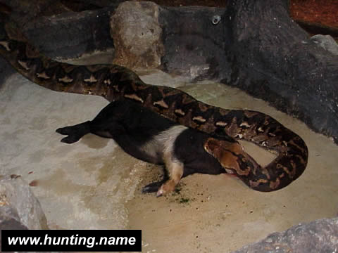 World's All Amazing Things, Pictures,Images And Wallpapers: World's ...