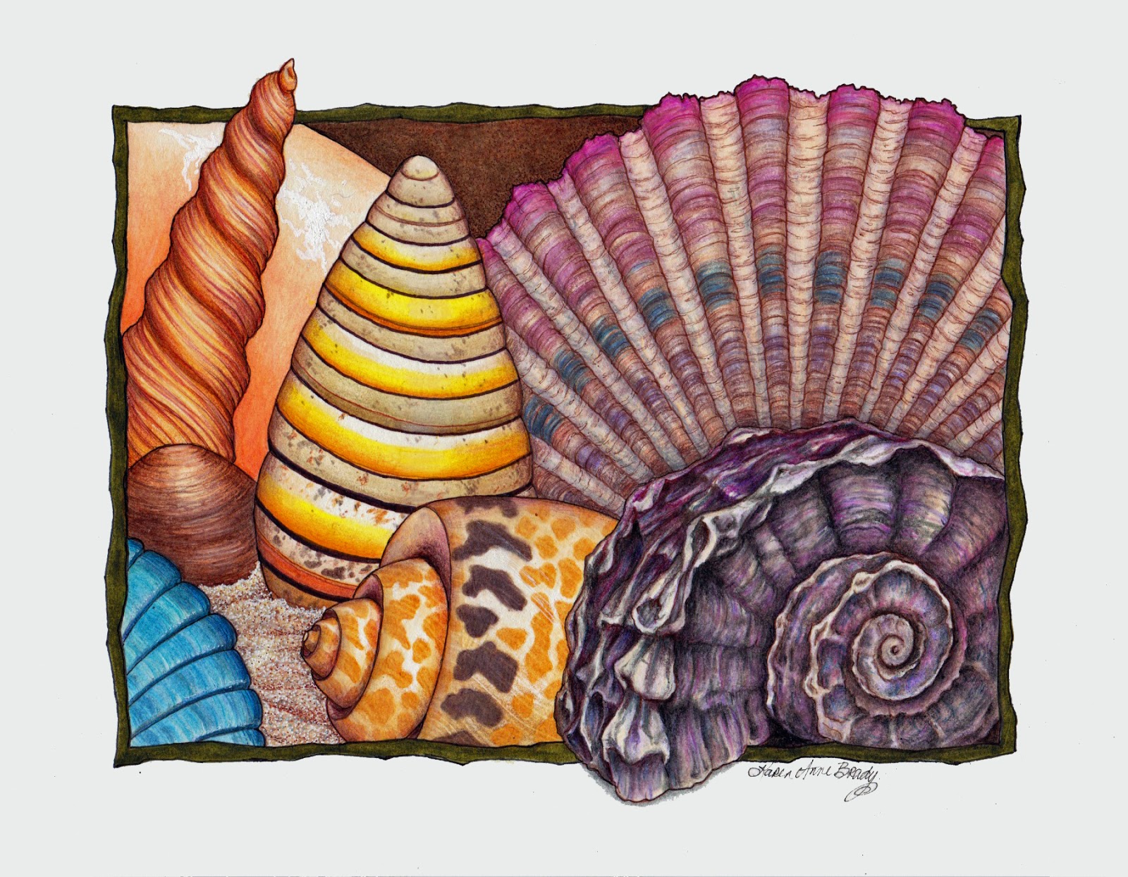 IrelandBrady - Musings To Ponder: Sea Shells - The Colored Pencil ...