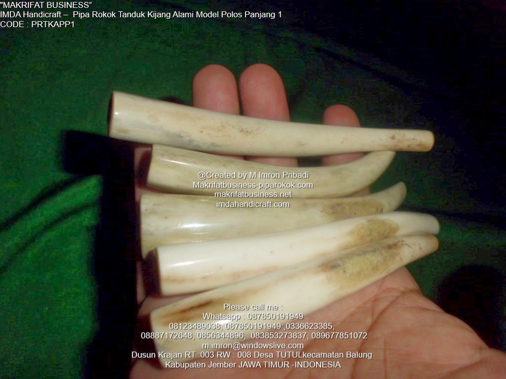 Pipa Rokok TULANG TANDUK Model Panjang Putih Polos 1 by : IMDA ...