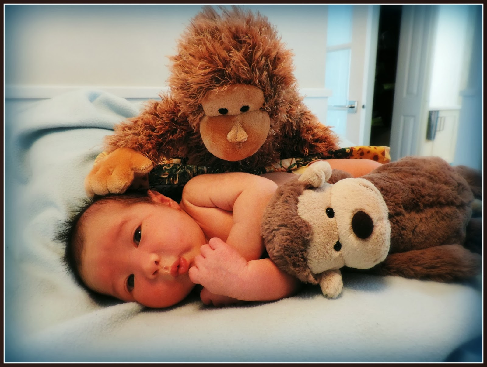 Chronicling the crazy: hello little monkey.