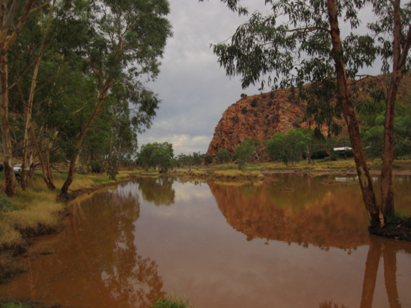 Australia: Tales from a Canadian Nomad: And The Todd River Flows Again ...